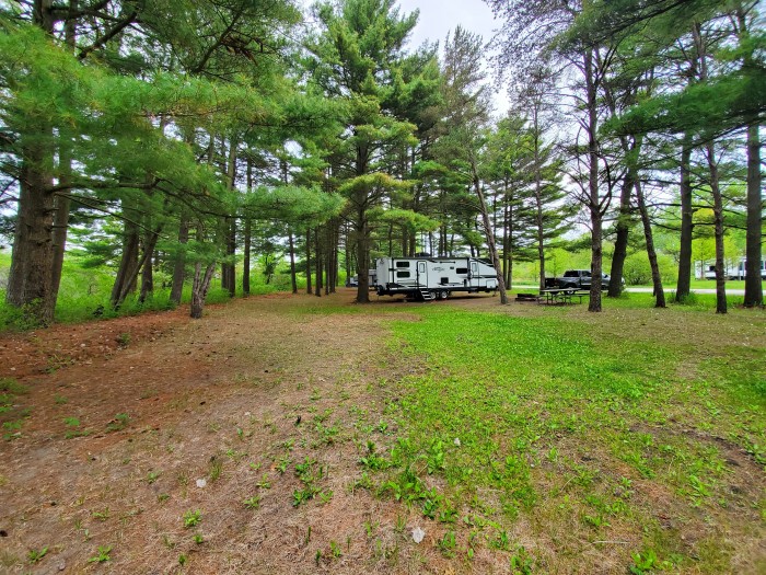 Are Dogs Allowed At Illinois Beach State Park